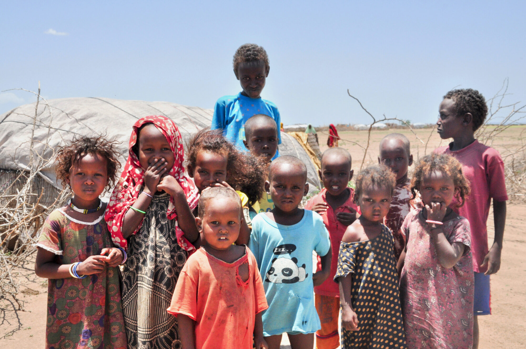 The Dangerous Delay: We must not delay our action to stop the hunger ...
