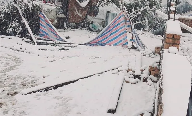 NEWS QUOTE: CHILDREN IN TENTS FACE SNOW AND FREEZING COLD IN EARTHQUAKE ...